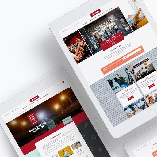 Prämiertes Kampagnen-Portal zohus.de | mindshape